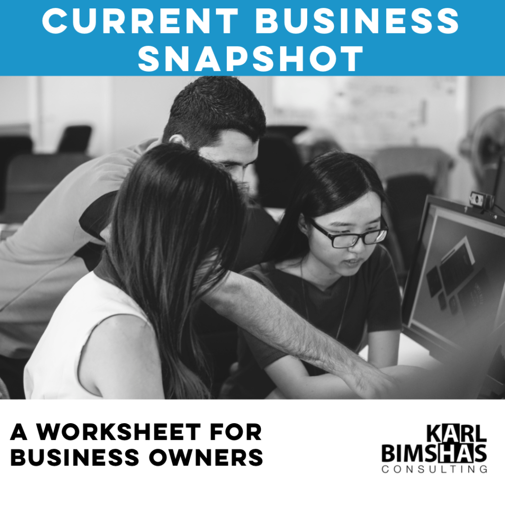 Current Business Snapshot: Worksheet - Karl Bimshas Consulting